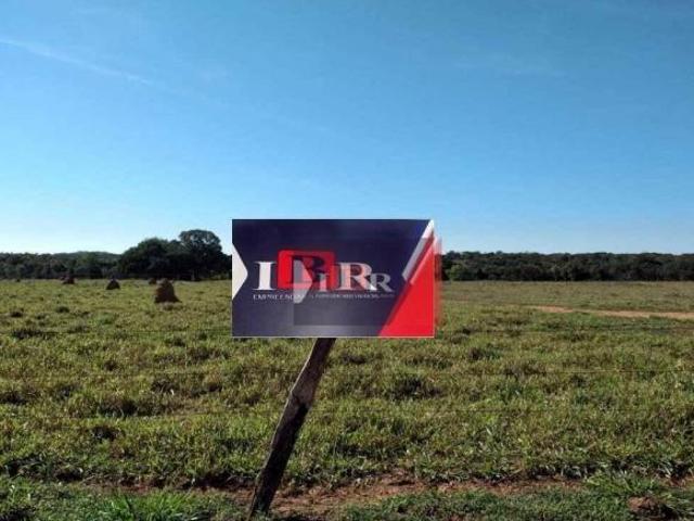 Fazenda em Coxim MS