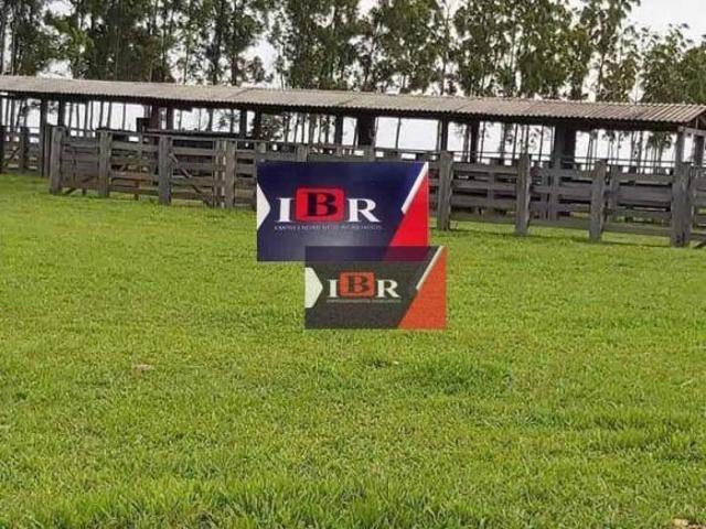 Fazenda em Coxim MS