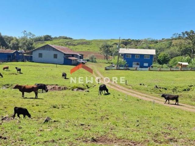 Fazenda em Criúva caxias do Sul Criúva Criúva/RS