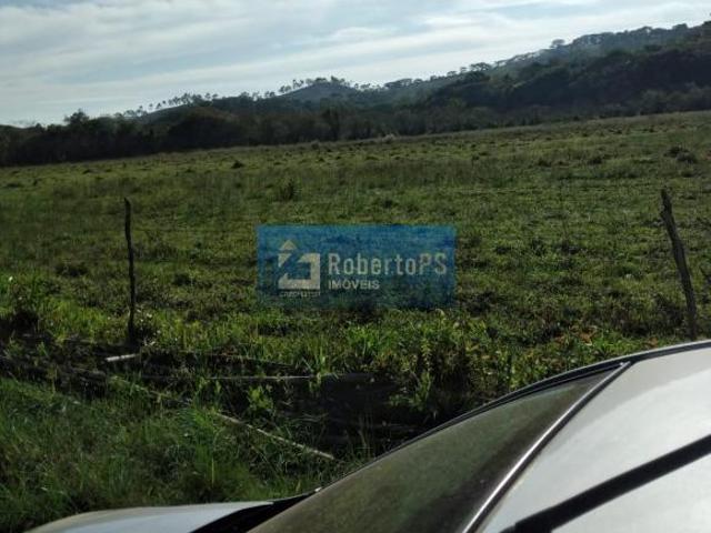 Fazenda em Cruzília a 7 km da rodovia com 245 hectares para pecuária sendo área de plantio 60
