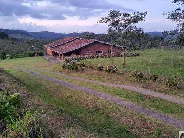 Fazenda em Delfim Moreira MG 79 alqueires