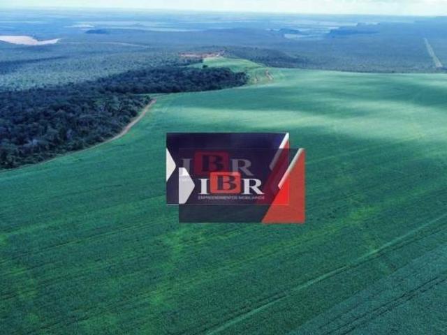 Fazenda em Diamantino MT