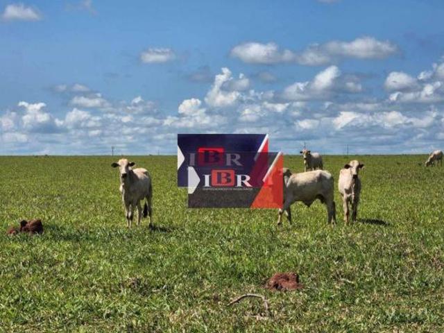 Fazenda em Dois Irmãos do Buriti