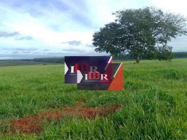 Fazenda em Dois Irmãos do Buriti MS