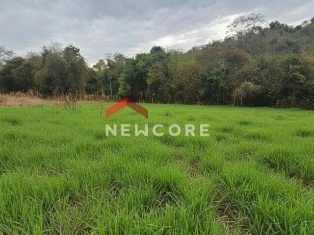 Fazenda em Entrada Pela Rodovia Pr 445, Km 55 – Irerê pr Patrimônio Selva Selva/PR