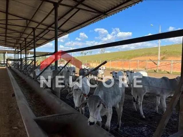 Fazenda em Estrada Municipal Capitão Oscar Francisco de Sales Chácara Marambaia Caçapava/SP