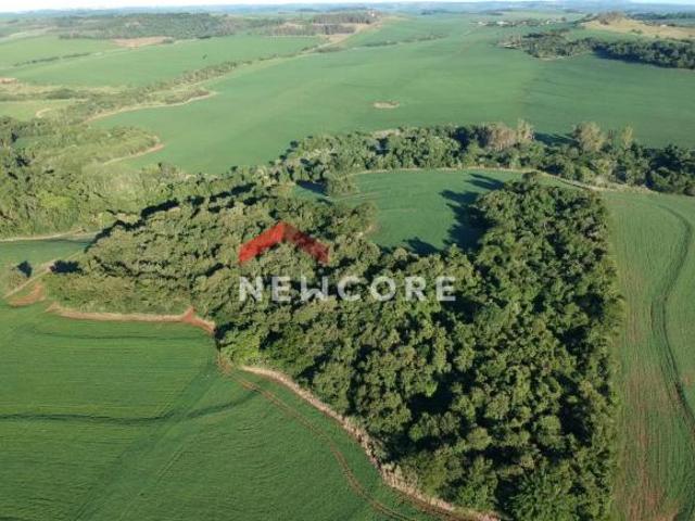 Fazenda em Estrada Pinguim Gleba Ribeirão Pinguim Maringá/PR