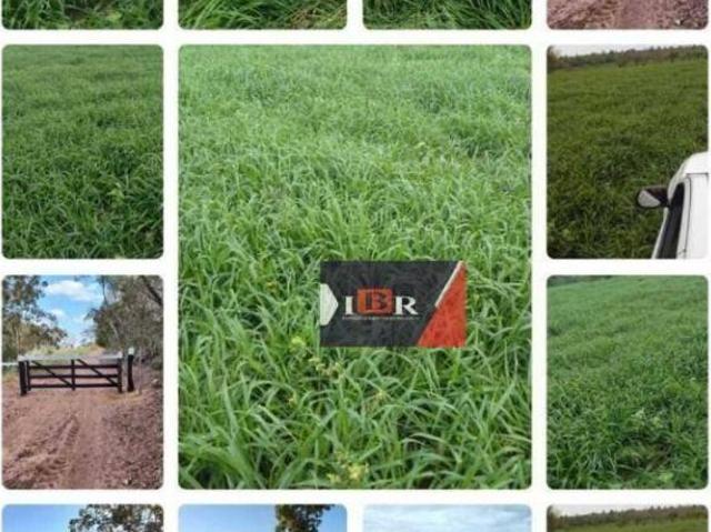 Fazenda em Figueirão MS