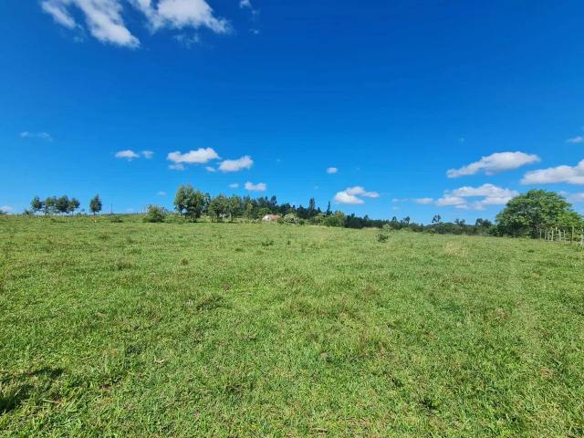 Fazenda em Fonte Limpa, Araruama/RJ de 10m² à venda por R$ 9.199.000,00
