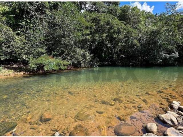 Fazenda em Formosa Go 773 Ha