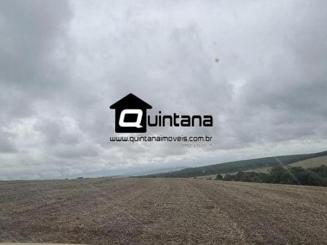 Fazenda em Guaíba 64 hectares de campo limpo