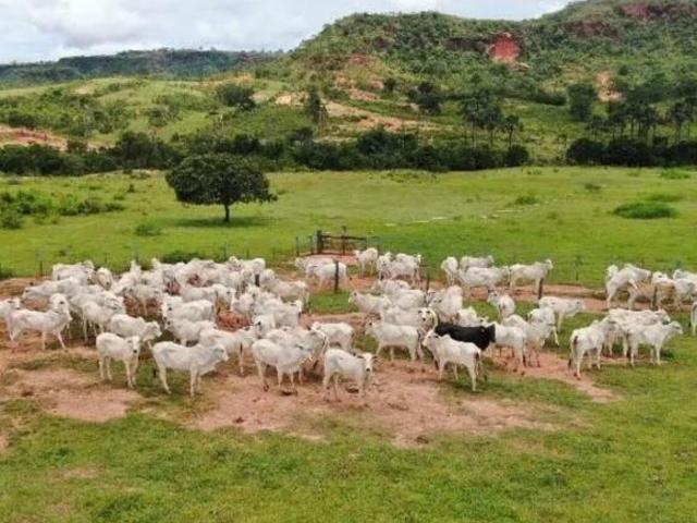 Fazenda em Guiratinga