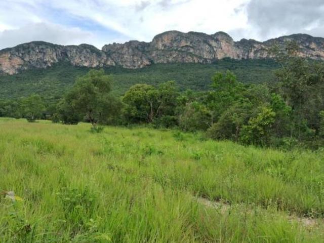 Fazenda em Goiás, aceita permuta em Goiânia