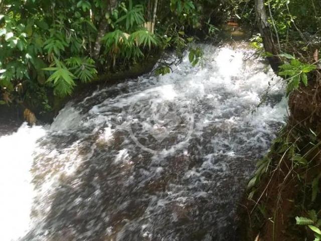 Fazenda em Goiás com plantação de Soja e Café