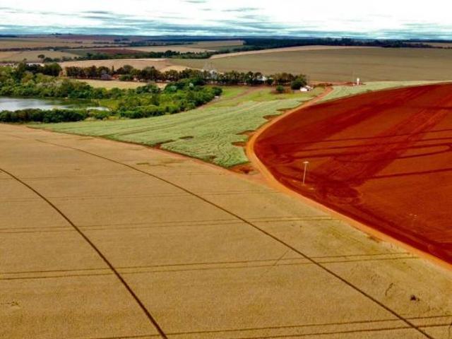 Fazenda em Itaberá SP
