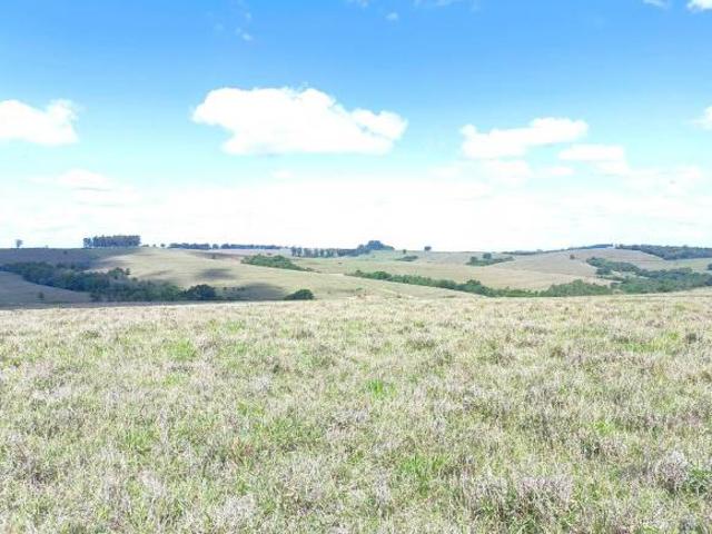 Fazenda em Itaporanga