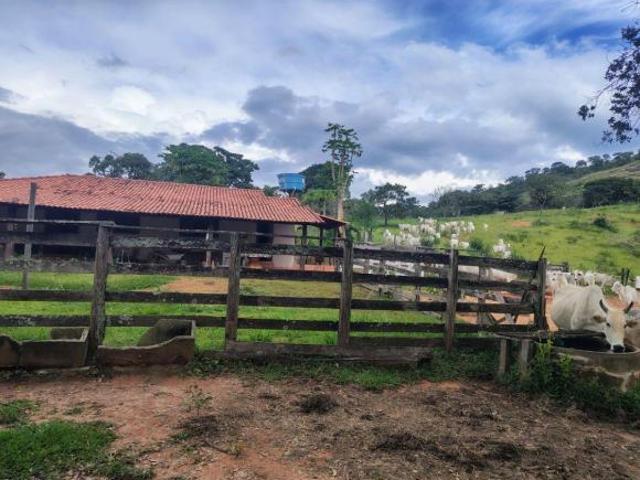 Fazenda em Itaúna MG 78 hectares