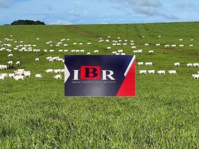 Fazenda em Itiquira MT