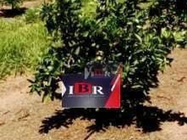 Fazenda em Itirapina SP
