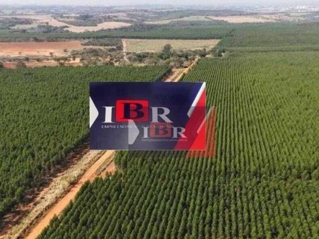 Fazenda em Itu SP