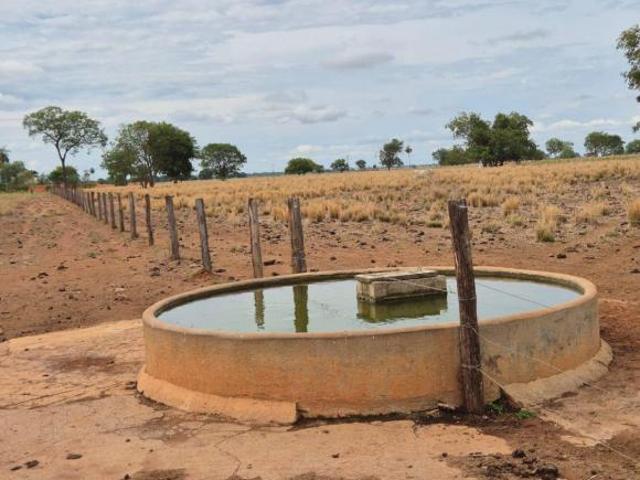 FAZENDA EM IACIARA GO 297 ALQUEIRES PARA GADO OU SOJA
