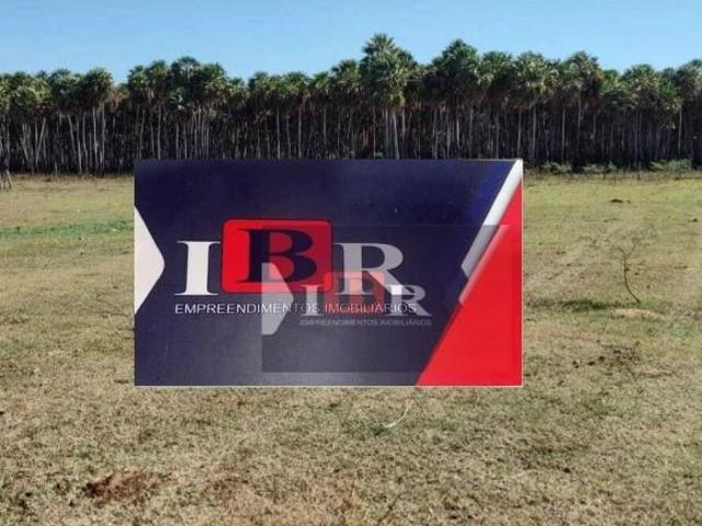 Fazenda em Inocência MS