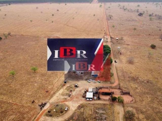 Fazenda em Inocência MS