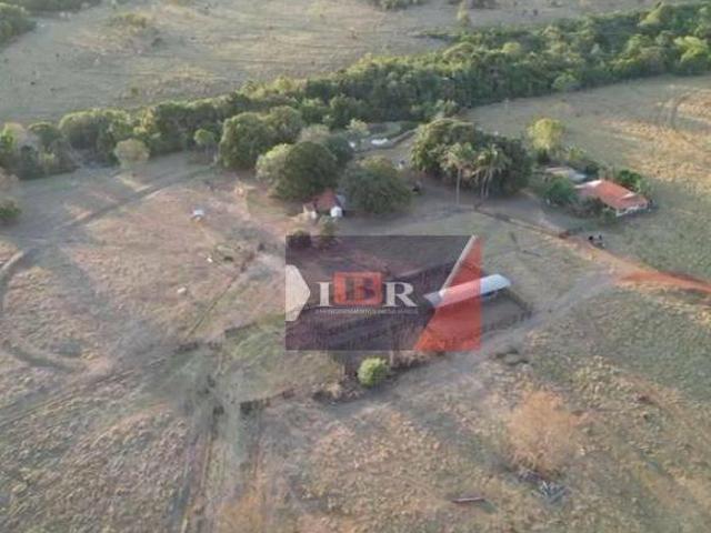 Fazenda em Inocência MS