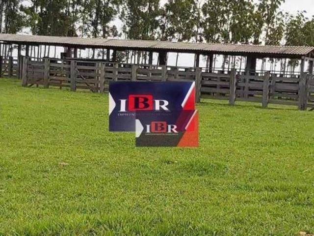 Fazenda em Inocência MS
