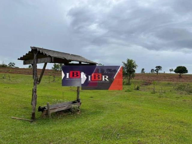 Fazenda em Inocência MS
