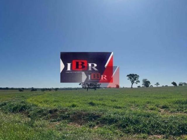 Fazenda em Inocência MS