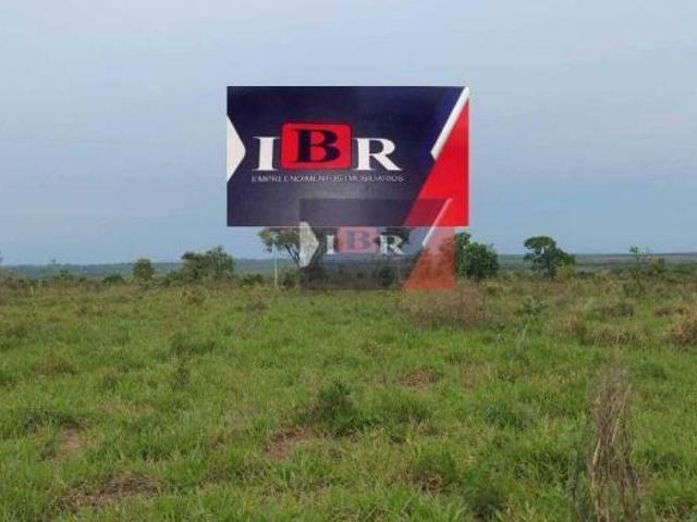 Fazenda em Inocência MS