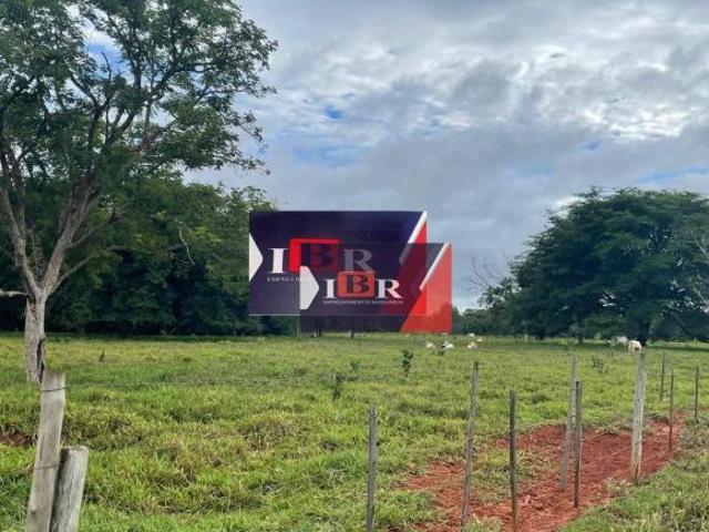 Fazenda em Inocência MS