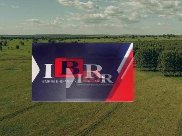 Fazenda em Inocência MS