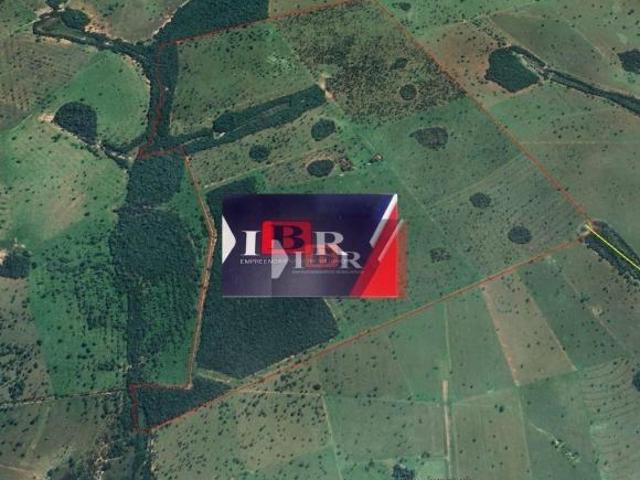 Fazenda em Inocência MS