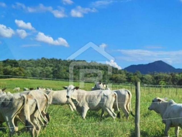 Fazenda em Jacupiranga SP com 89 hectares sendo 68 hectares em pasto