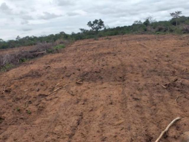 Fazenda em Januária/MG