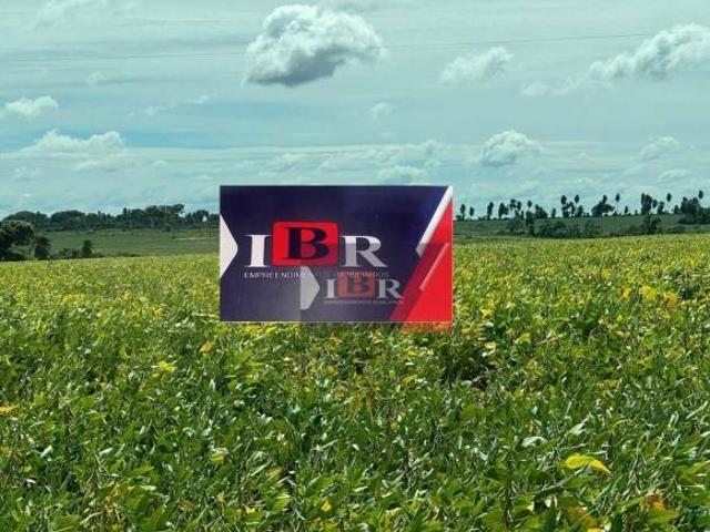 Fazenda em Jardim MS