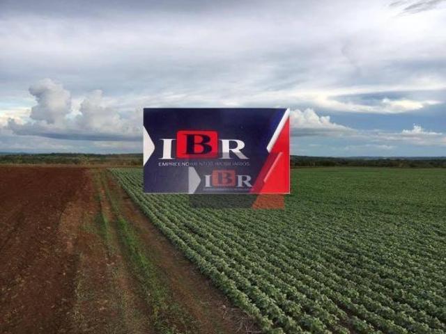 Fazenda em Jardim MS