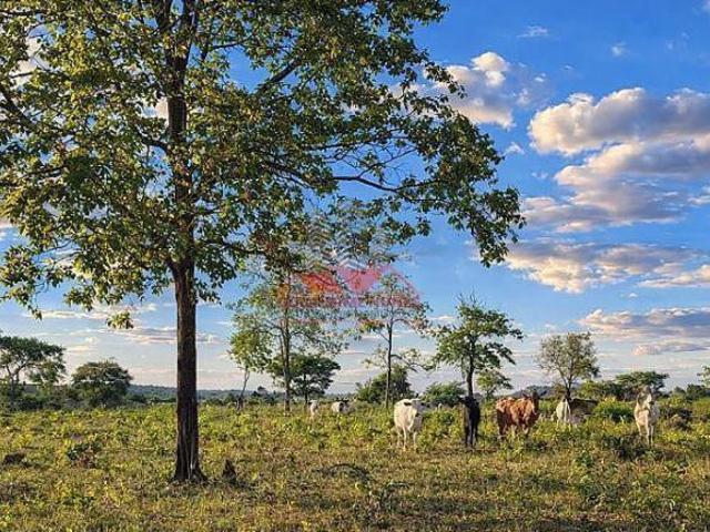 Fazenda em Jataí GO: 484 ha de Dupla Aptidão | Aceita Soja