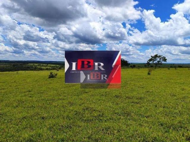 Fazenda em Jau SP