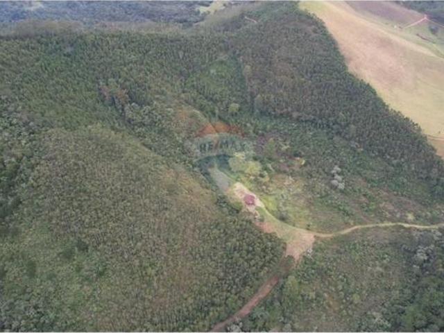 Fazenda em Joanópolis: 114,5 ha com Eucalipto, Água e Potencial Ilimitado