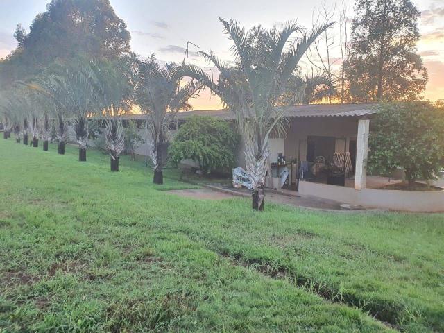 Fazenda em Km 1, Miguelópolis/SP de 10m² 2 quartos à venda por R$ 3.949.000,00