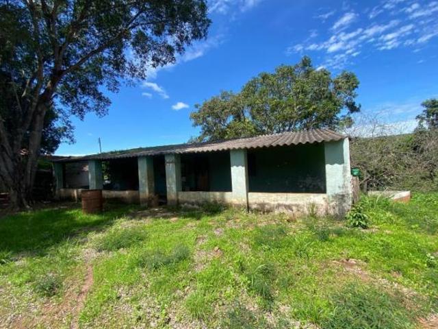 FAZENDA EM LUZIÂNIA COMPLETA COM MUITO PASTO ÁGUA EM S PASSANDO NA FAZENDA!