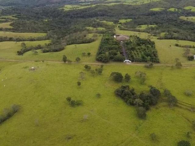 Fazenda em Luziânia 1.702 hectares 351 alqueires. 37 divisões de pasto. Toda no arame liso. Marge