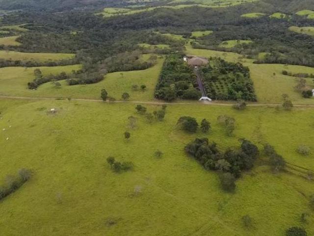 Fazenda em Luziânia 1.702 hectares 351 alqueires. 37 divisões de pasto. Toda no arame liso. Marge