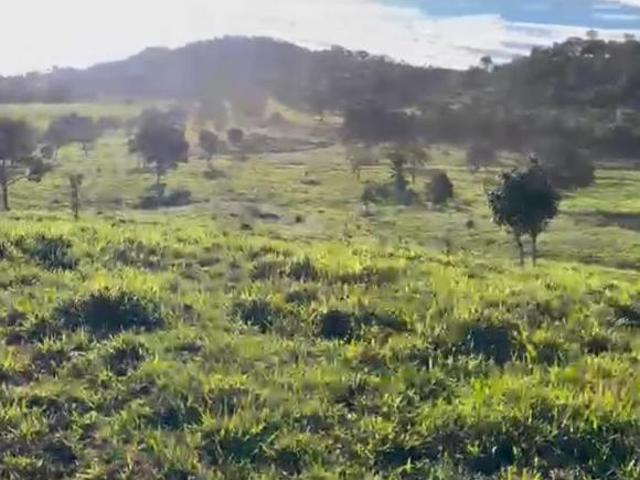 FAZENDA EM LUZIANIA