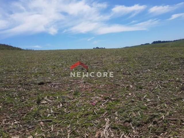 Fazenda em Lageado Grande Tainhas São Francisco de Paula/RS