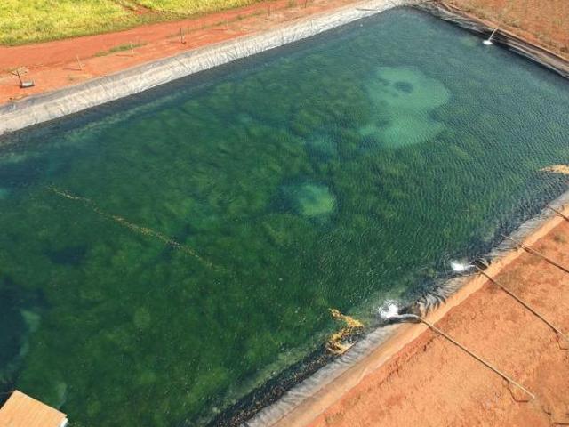 FAZENDA EM PARACATU, 125 HECTARES COM PIVÔ TODA FORMADA, RS 12 MILHÕES