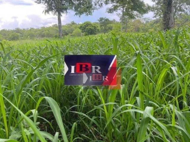 Fazenda em Paraiba MS